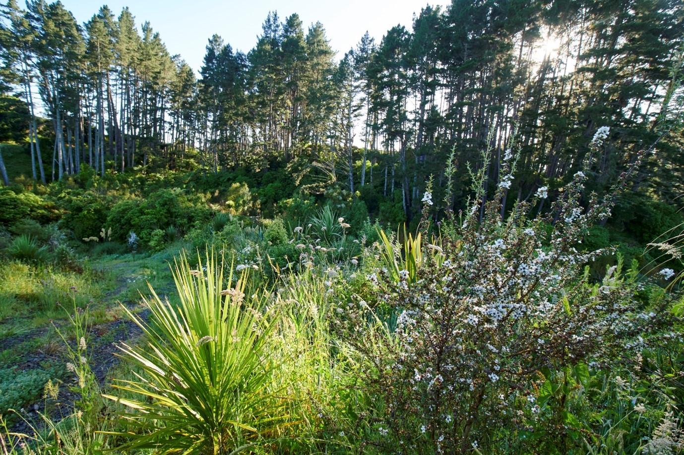 Waikato District Council