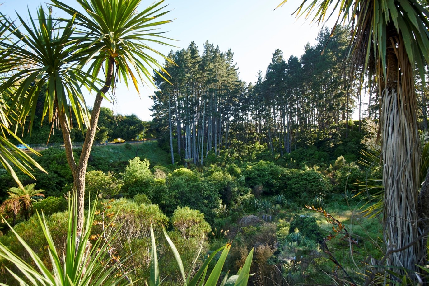 Tamahere Reserve (Crawford's Quarry) proposed change of purpose